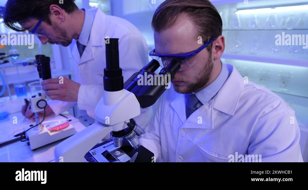 Research collaboration Stock Videos & Footage - HD and 4K Video Clips ...