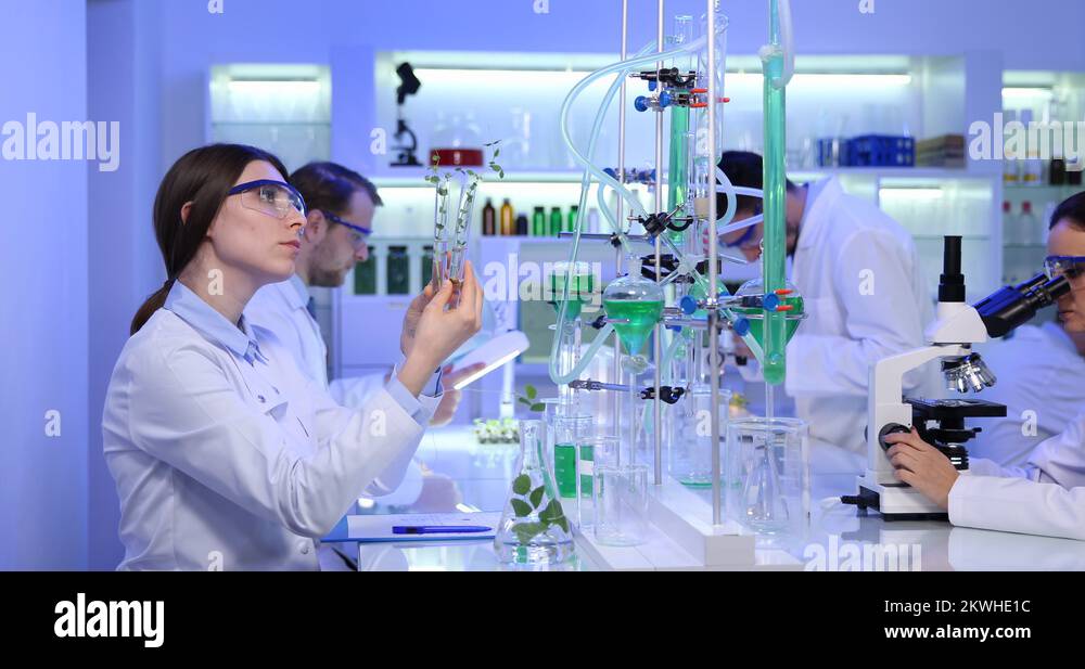 Researchers Team Testing Sample on Microscope Laboratory Collaborate ...