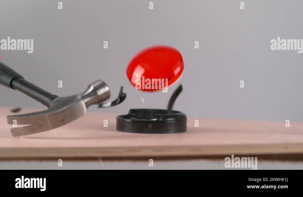 Buzzer game Stock Videos & Footage - HD and 4K Video Clips - Alamy