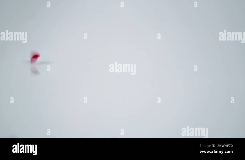 Smarties colours Stock Videos & Footage - HD and 4K Video Clips - Alamy