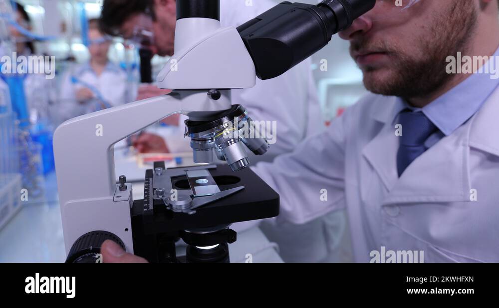 Researchers Team Work Bacteriologists Studying Bacteria on Microscope ...