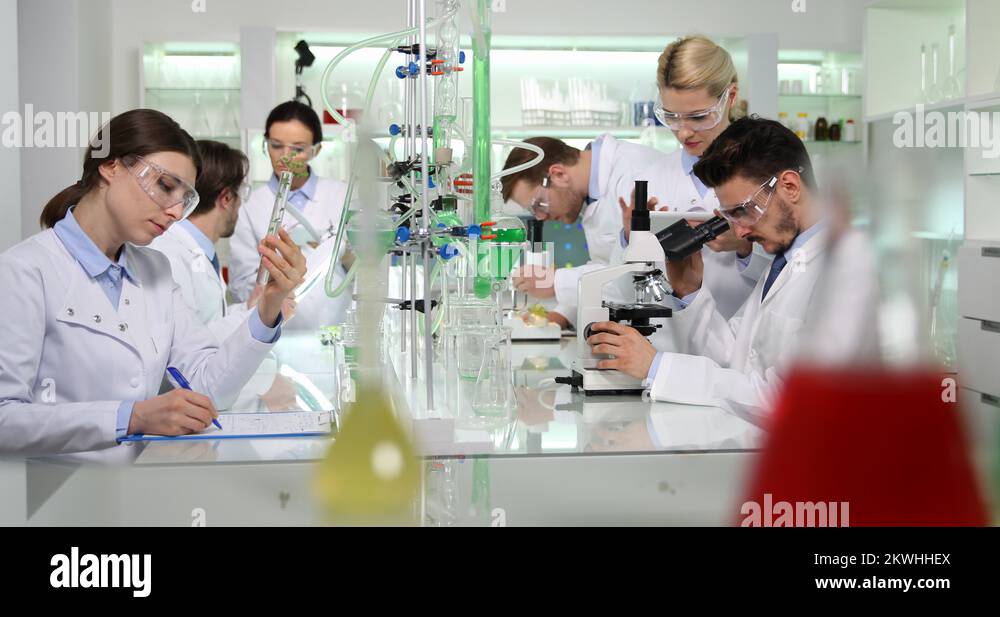 Scientific Researchers Talking Communication Microscope Research ...