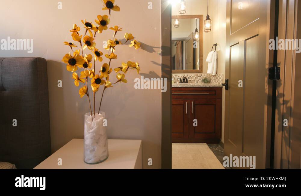 Bathroom door open Stock Videos & Footage - HD and 4K Video Clips - Alamy