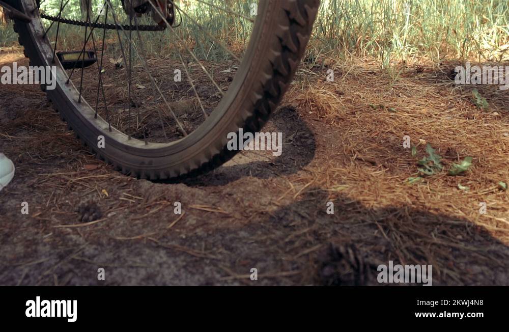 Dust cycle Stock Videos & Footage - HD and 4K Video Clips - Alamy
