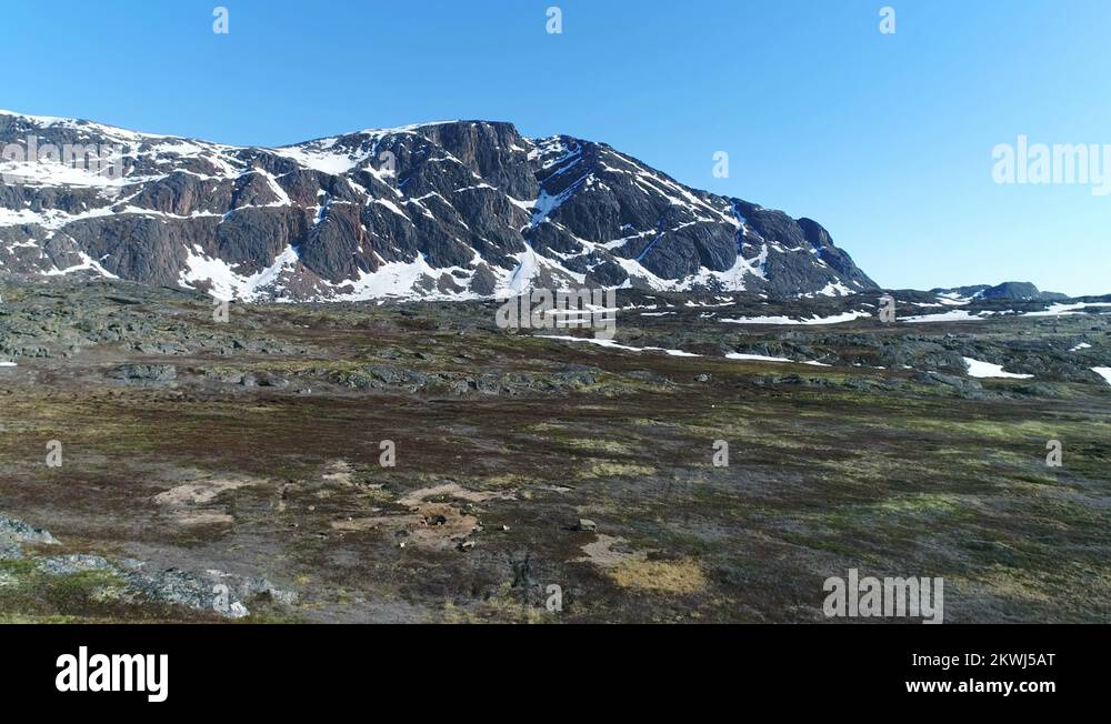 Tundra greenland Stock Videos & Footage - HD and 4K Video Clips - Alamy