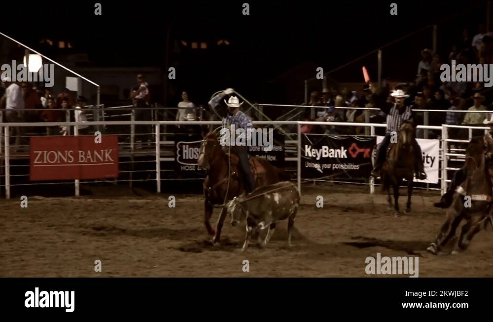 Team roping Stock Videos & Footage - HD and 4K Video Clips - Alamy