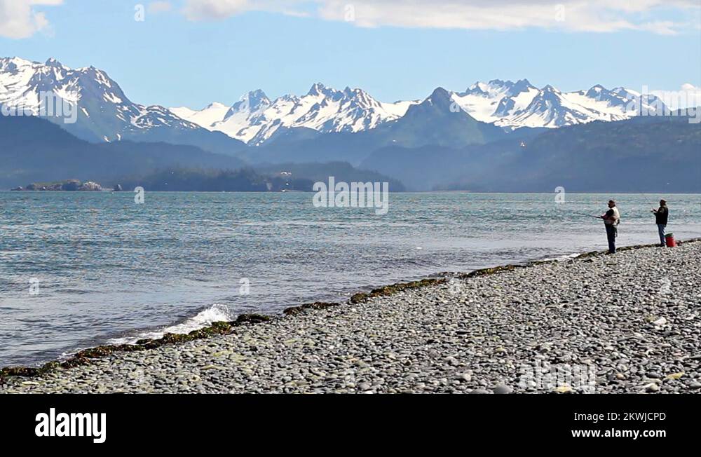 Alaska pollock fishing Stock Videos & Footage - HD and 4K Video Clips ...