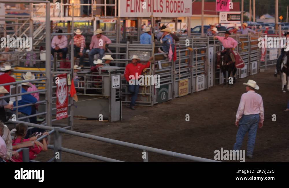 Rodeo calf roping Stock Videos & Footage - HD and 4K Video Clips - Alamy