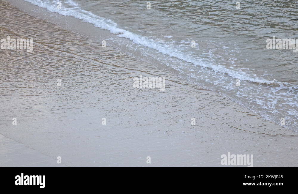 Exotic visual Stock Videos & Footage - HD and 4K Video Clips - Alamy