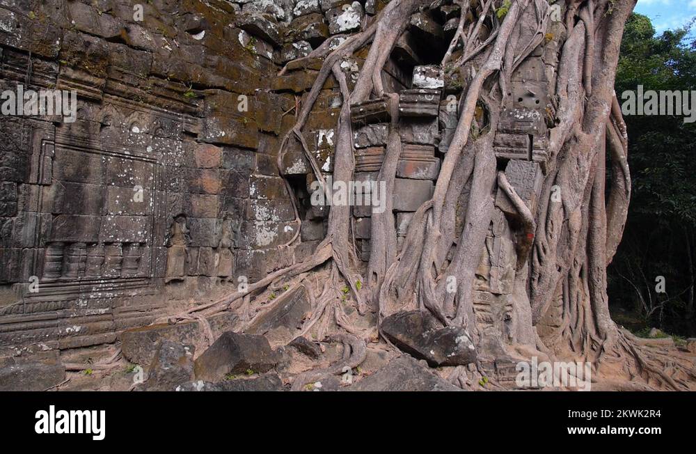 Tree roots in cambodian wat Stock Videos & Footage - HD and 4K Video ...