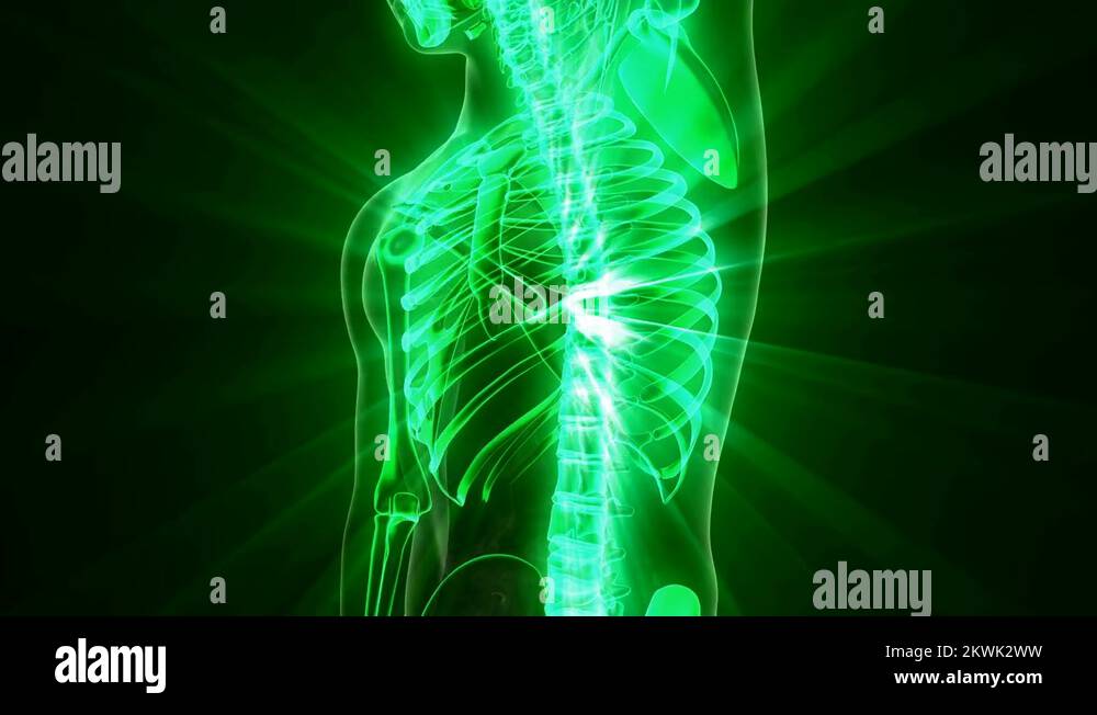 science anatomy of human body in x-ray with glow skeleton bones Stock ...