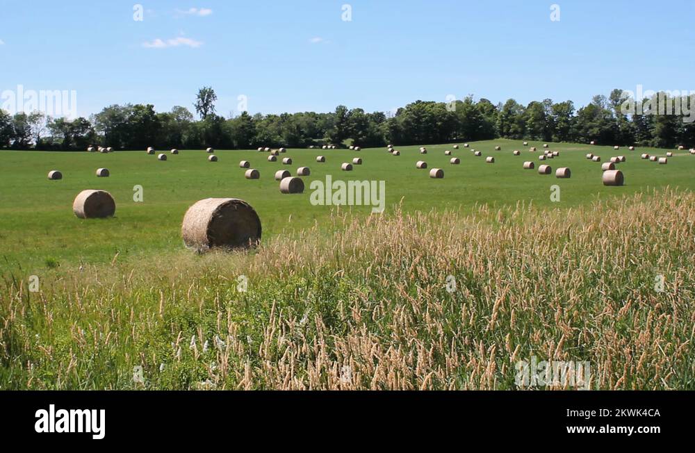 Straw cylinders Stock Videos & Footage - HD and 4K Video Clips - Alamy