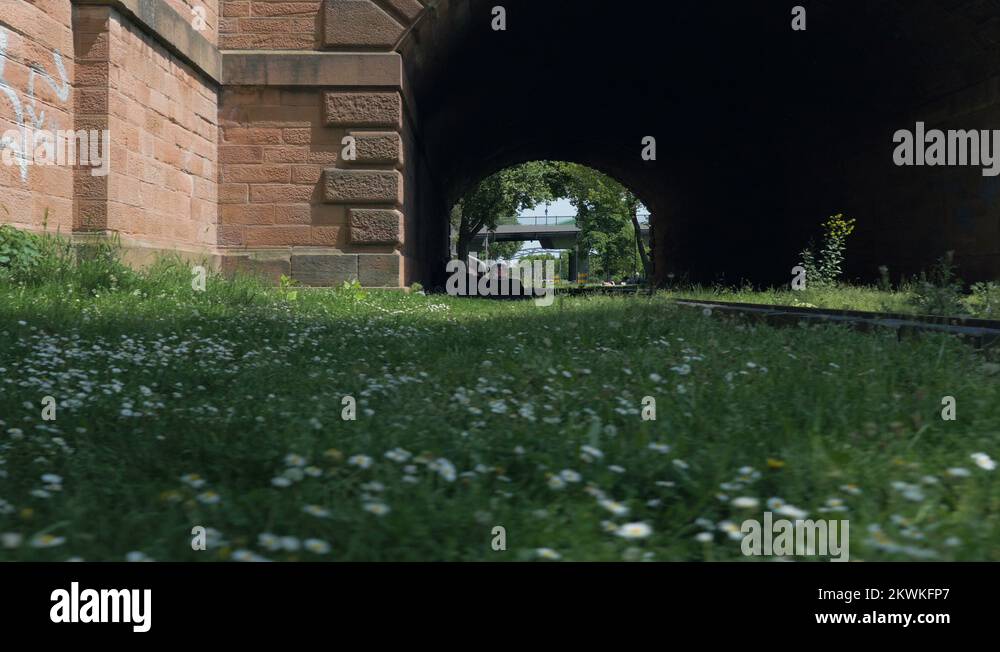 Flowers locomotive Stock Videos & Footage - HD and 4K Video Clips - Alamy