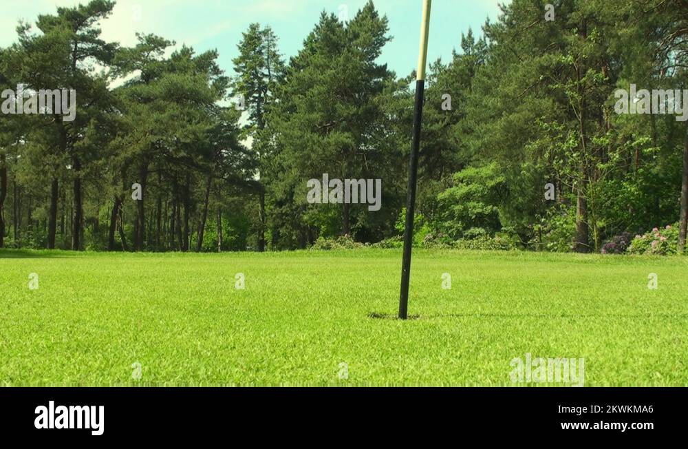 Putting surface Stock Videos & Footage - HD and 4K Video Clips - Alamy
