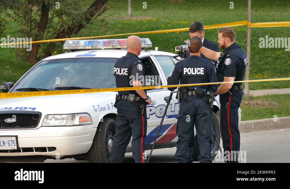 Police officers talking with an inspector on a scene Stock Video ...