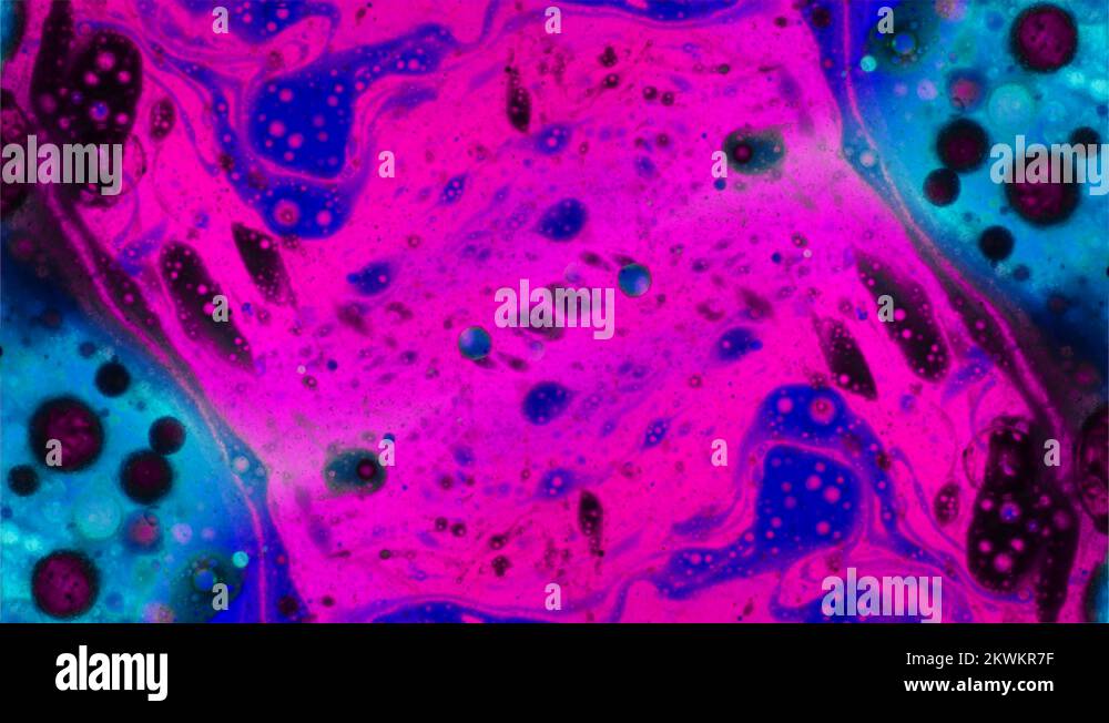 Science cell patterns Stock Videos & Footage - HD and 4K Video Clips ...