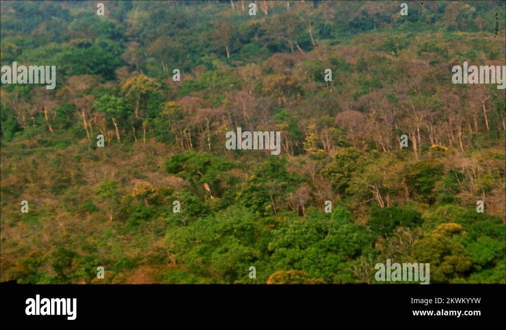 Vietnam war 1965 napalm Stock Videos & Footage - HD and 4K Video Clips ...