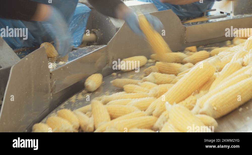 Processing foods Stock Videos & Footage - HD and 4K Video Clips - Alamy