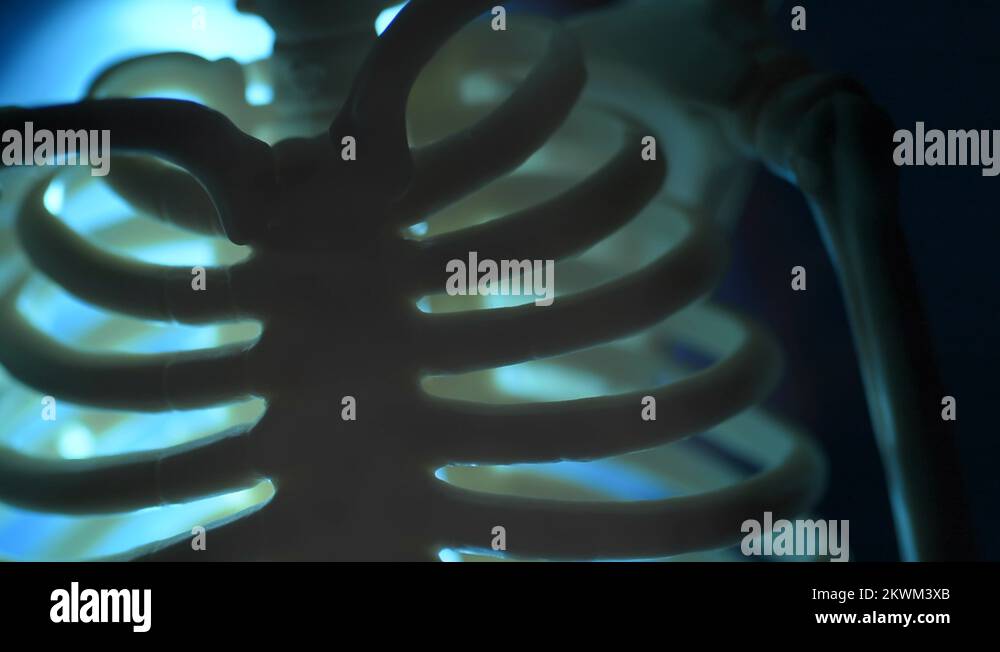 A skeleton illuminated by a flashing blue emergency light Stock Video ...