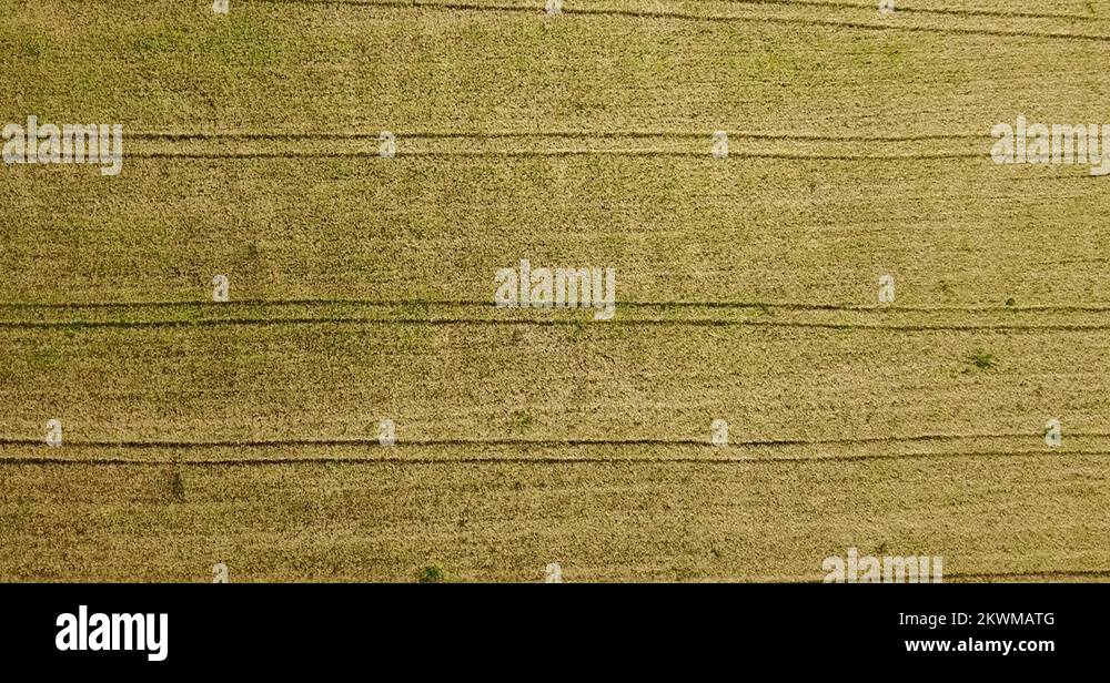 Straight lines in nature Stock Videos & Footage - HD and 4K Video Clips ...