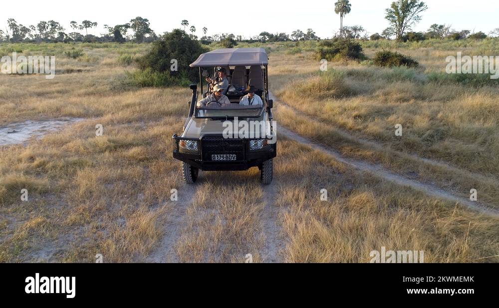 Okavango safari Stock Videos & Footage - HD and 4K Video Clips - Alamy