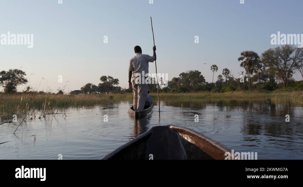 Back view of tourists enjoying a ride on a Mokoro - traditional canoe ...