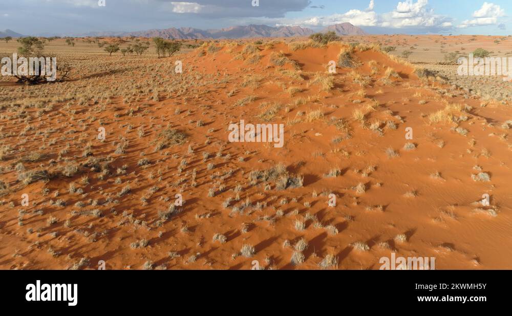 Track through nature reserve Stock Videos & Footage - HD and 4K Video ...