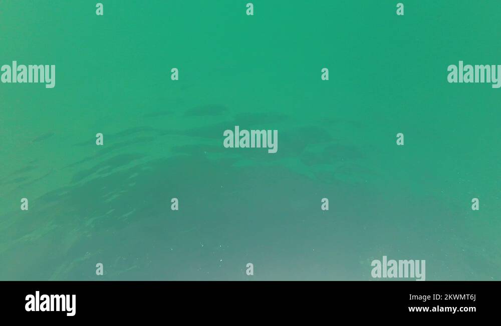 Gopro underwater footage, little girl swimming in the pool Stock Video ...