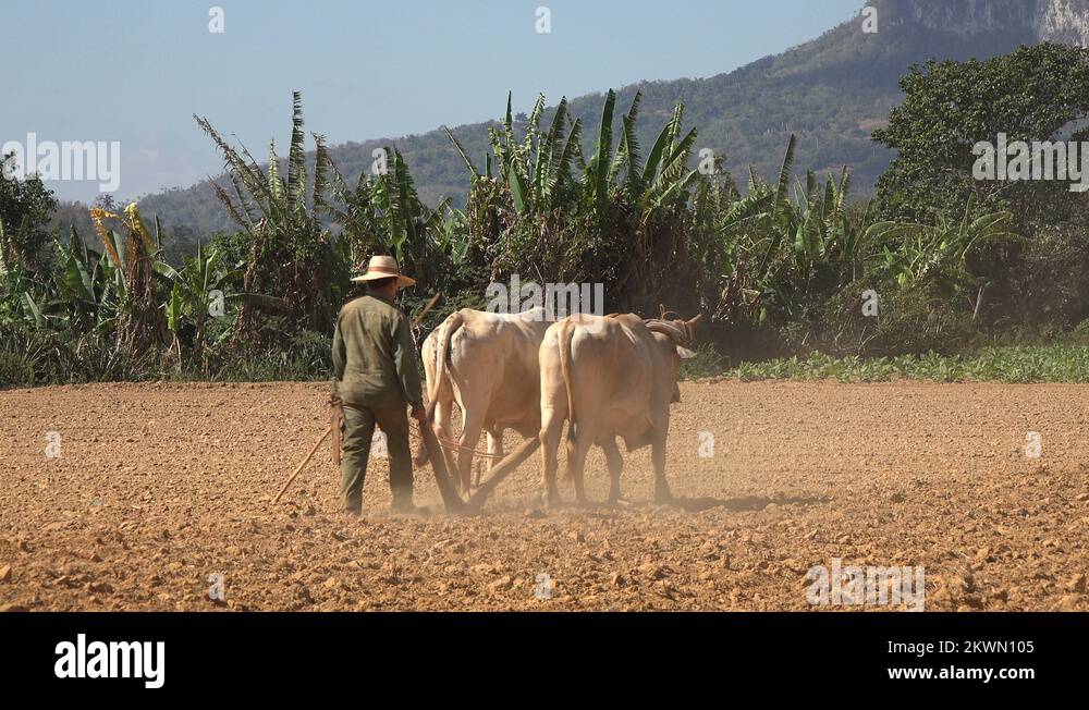 Developing economy Stock Videos & Footage - HD and 4K Video Clips - Alamy