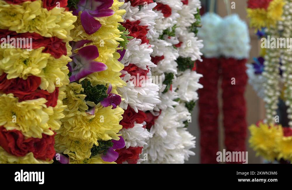 Prayer flowers Stock Videos & Footage - HD and 4K Video Clips - Alamy