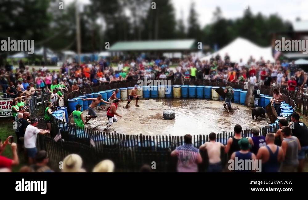 Pig drunk Stock Videos & Footage - HD and 4K Video Clips - Alamy