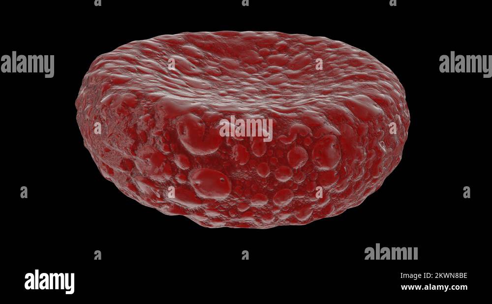 Red blood cell black background Stock Videos & Footage - HD and 4K ...