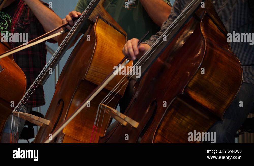 Guarneri Stock Videos & Footage - HD and 4K Video Clips - Alamy