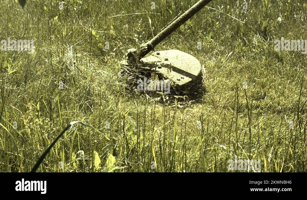 Lawn edging string Stock Videos & Footage - HD and 4K Video Clips - Alamy