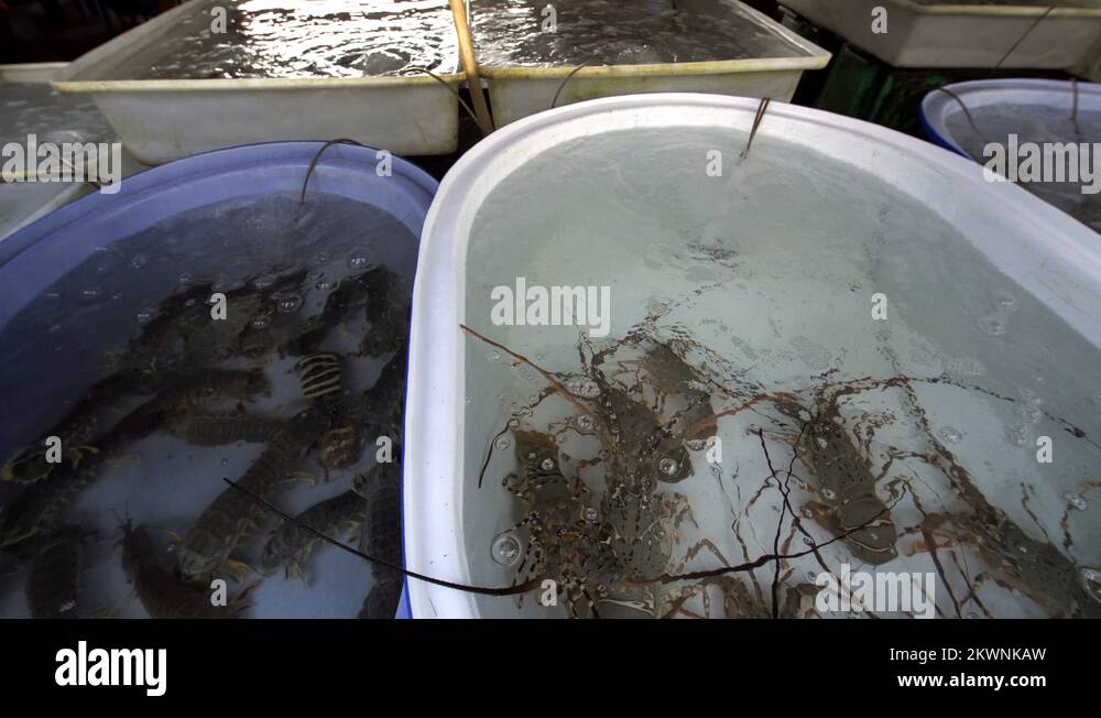 Selling water containers Stock Videos & Footage - HD and 4K Video Clips ...