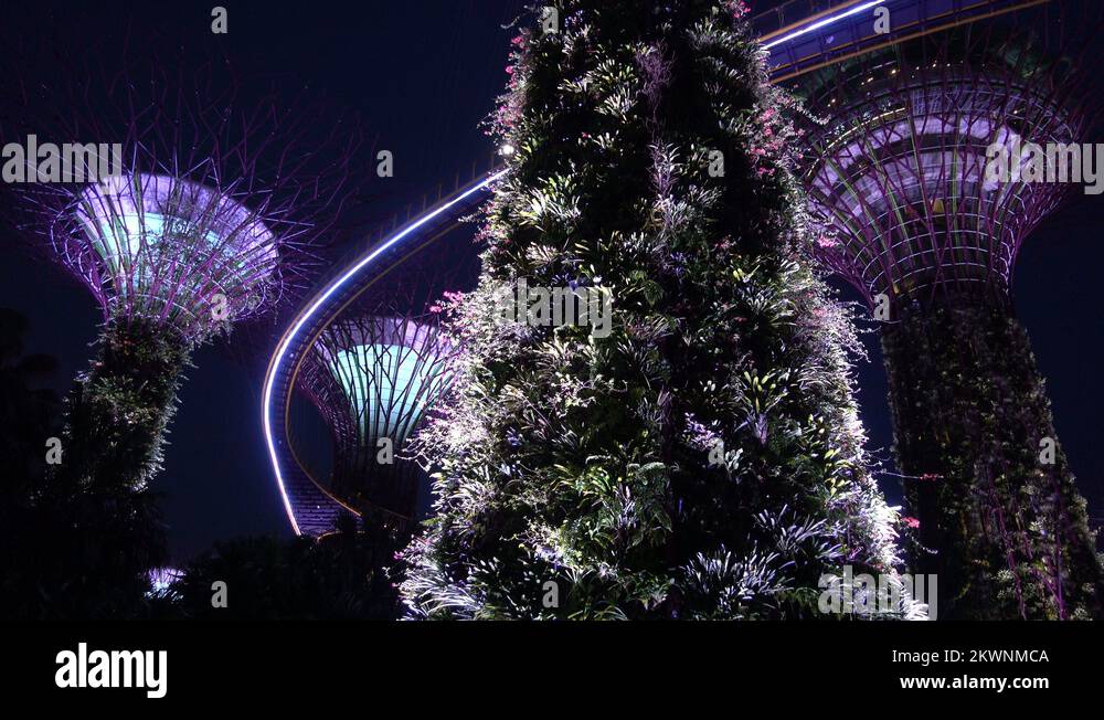 Illuminated gardens by the bay Stock Videos & Footage - HD and 4K Video ...
