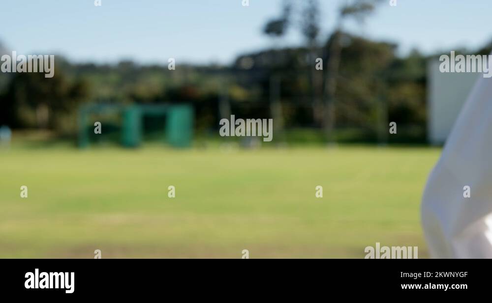 Cricket umpire Stock Videos & Footage - HD and 4K Video Clips - Alamy