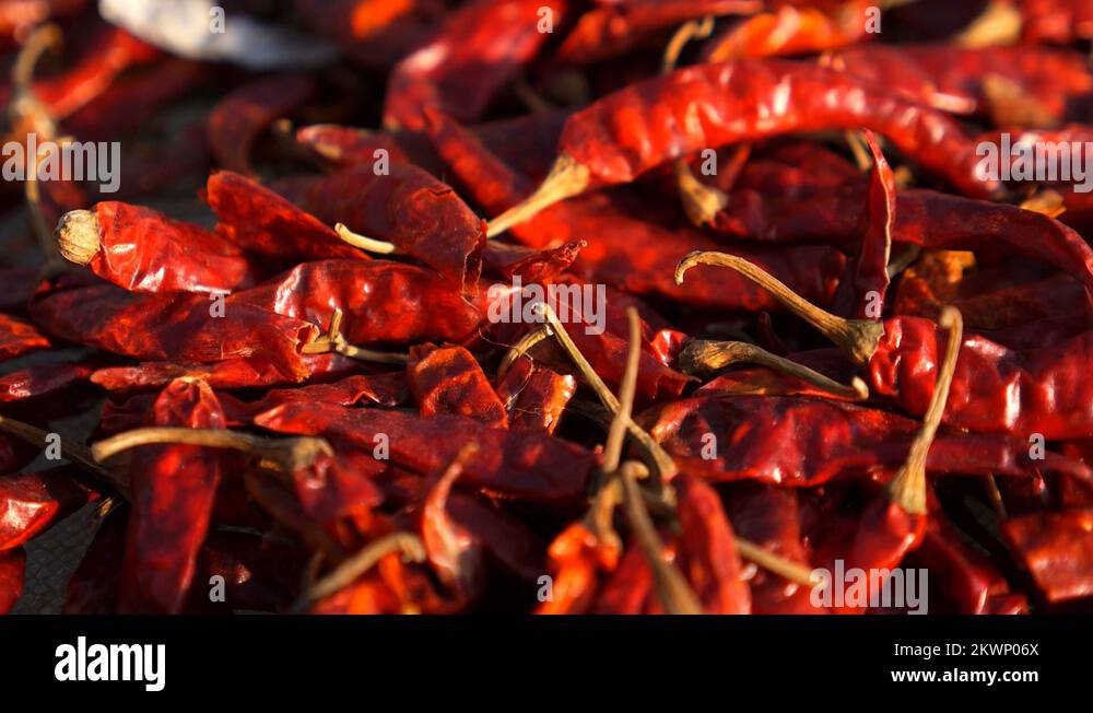 Drying chili pepper Stock Videos & Footage - HD and 4K Video Clips - Alamy