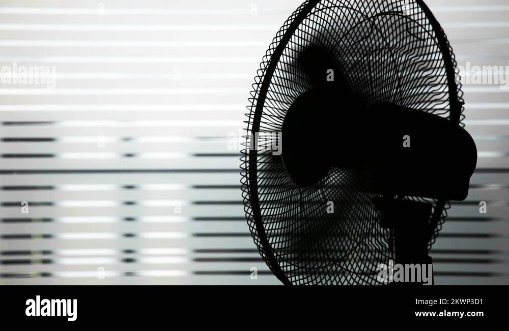 Fan silhouette Stock Videos & Footage - HD and 4K Video Clips - Alamy