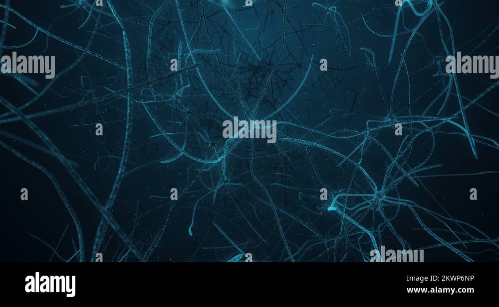 Synapse diagram Stock Videos & Footage - HD and 4K Video Clips - Alamy