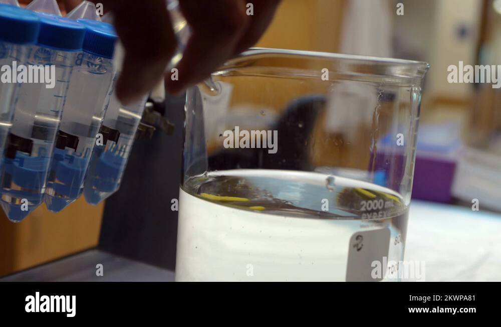 Pouring liquid into beaker Stock Videos & Footage - HD and 4K Video ...