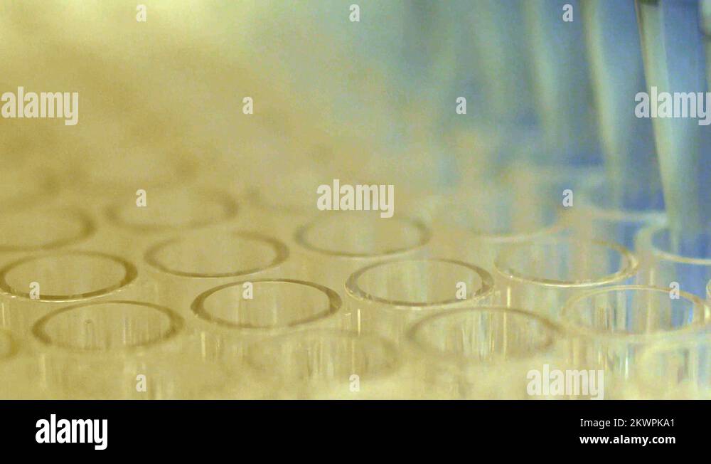 Close-up footage of test tubes being filled with liquid in laboratory ...