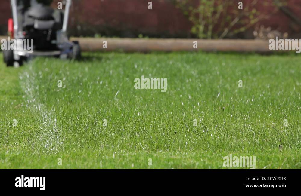 Regular chores Stock Videos & Footage - HD and 4K Video Clips - Alamy