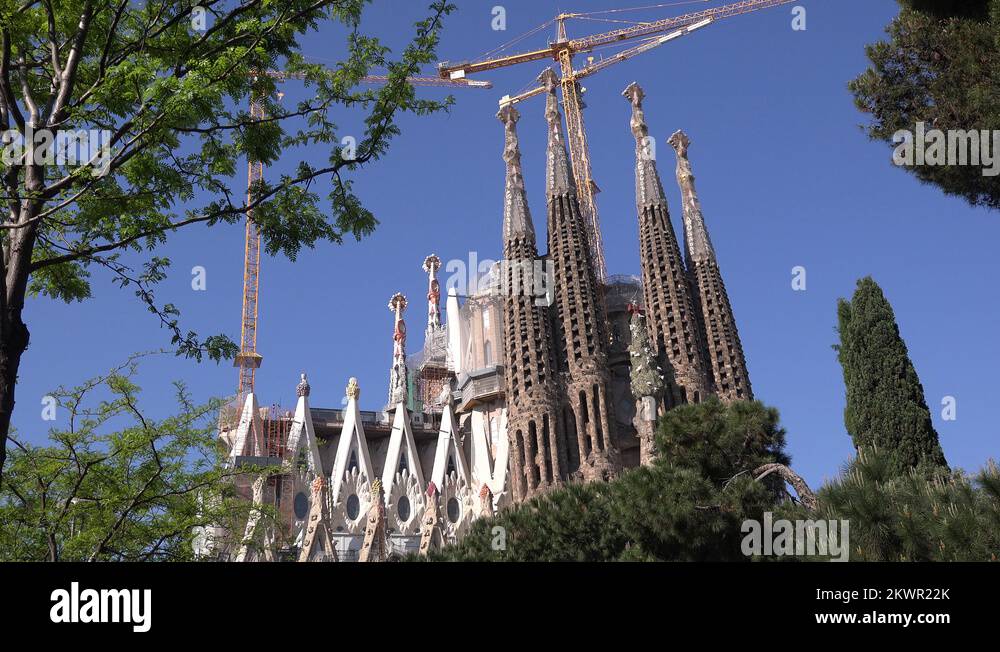 Sagrada Familia catholic church and green park trees Barcelona city ...