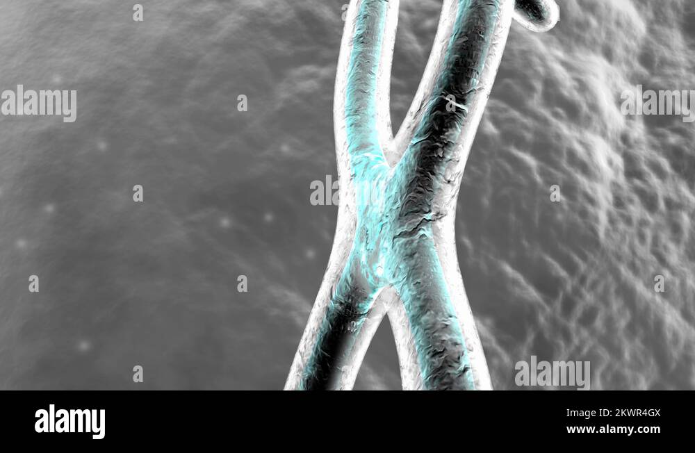 3d reproduction Stock Videos & Footage - HD and 4K Video Clips - Alamy