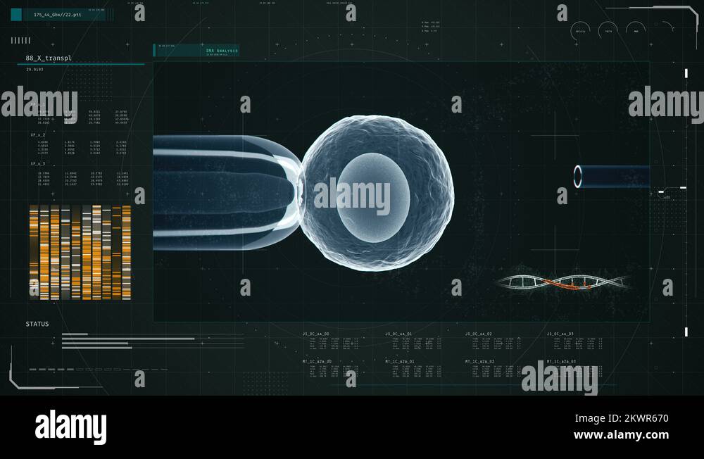 Cell injection macro, artificial insemination AI under microscope ...