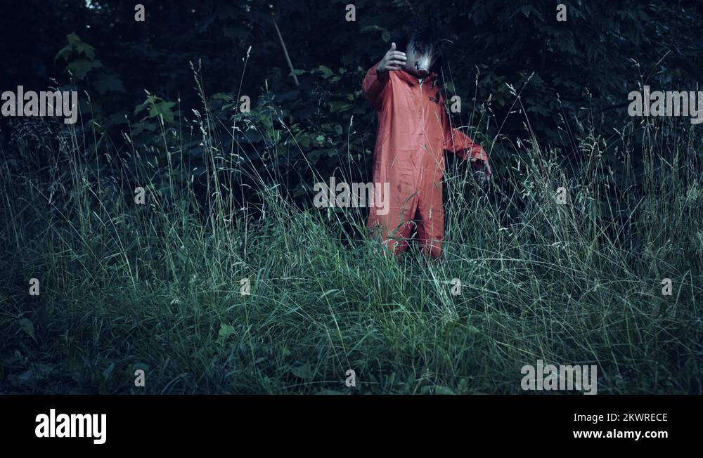 Pig mask man Stock Videos & Footage - HD and 4K Video Clips - Alamy