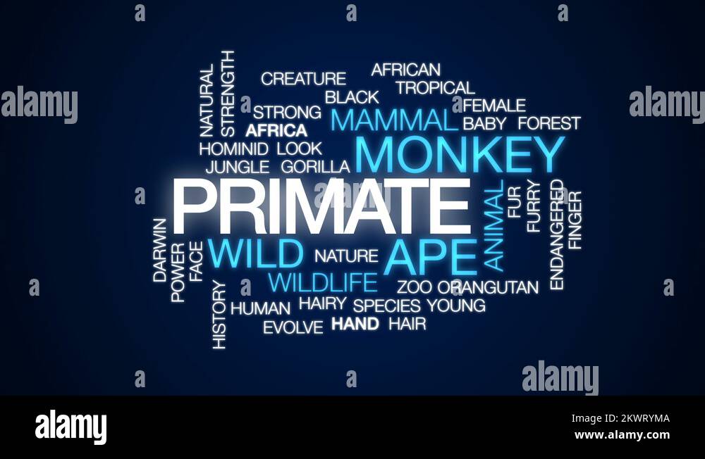 Strong primate Stock Videos & Footage - HD and 4K Video Clips - Alamy