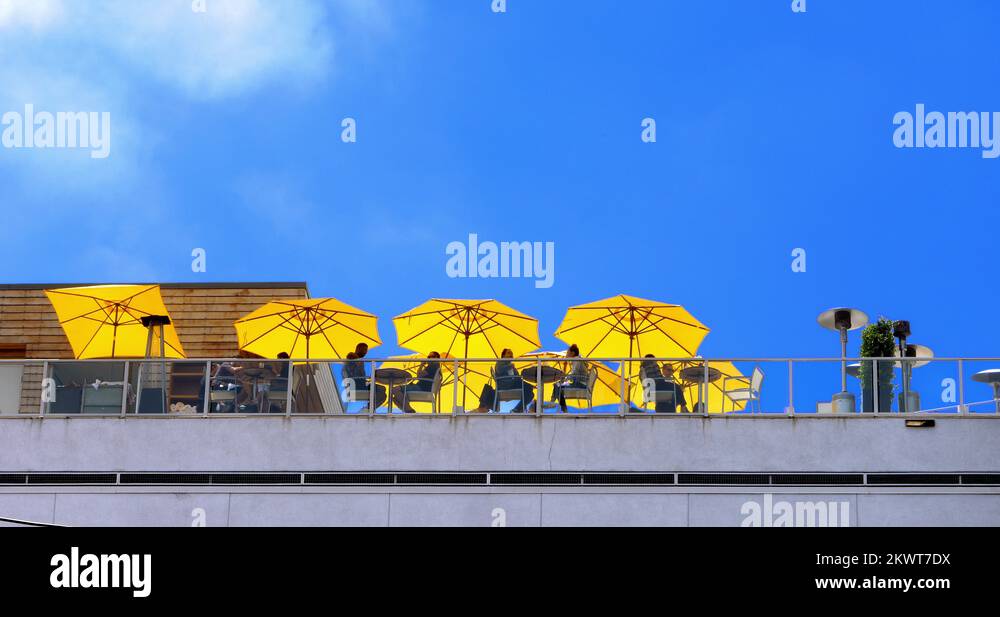 People having lunch on the roof of the office building at the ...
