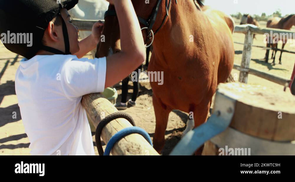 Boy ranch Stock Videos & Footage - HD and 4K Video Clips - Alamy